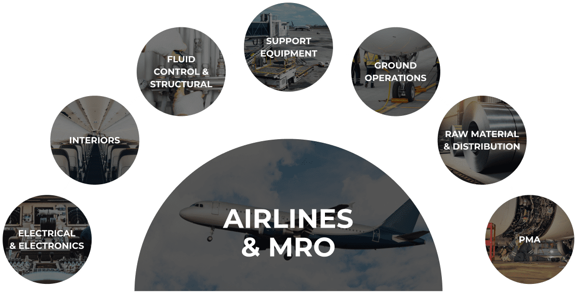 Airlines & MRO - Panair LLC